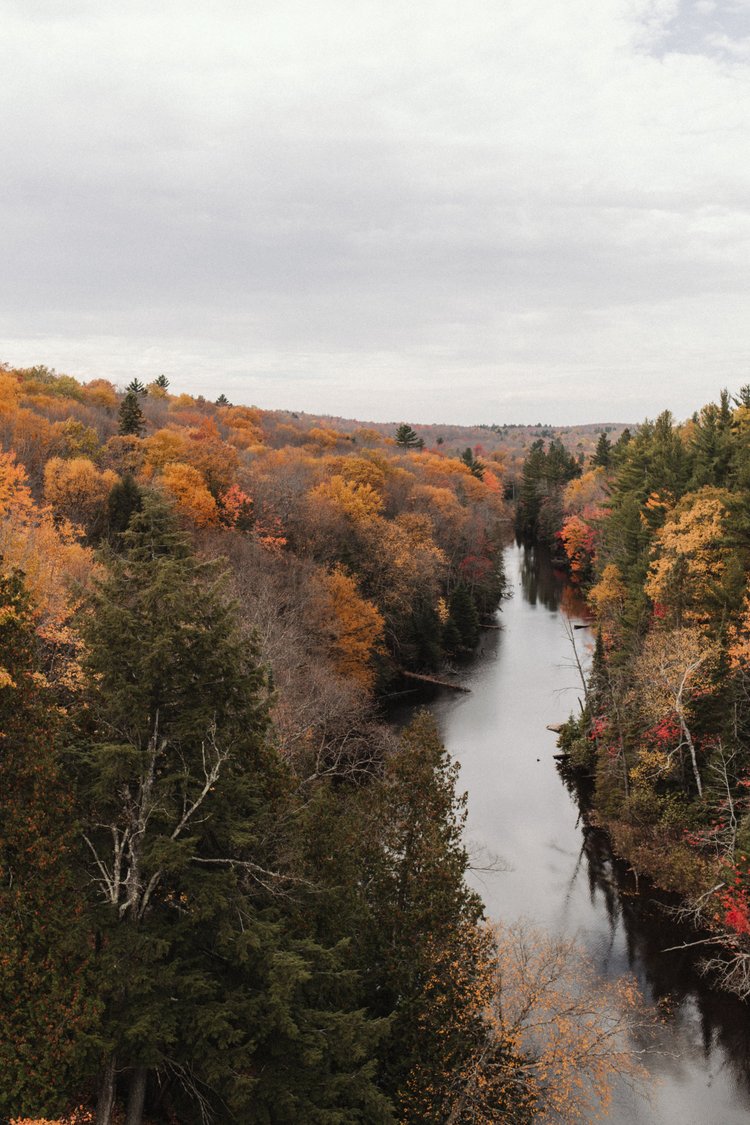 CR-510 Bridge View — Selective Potential