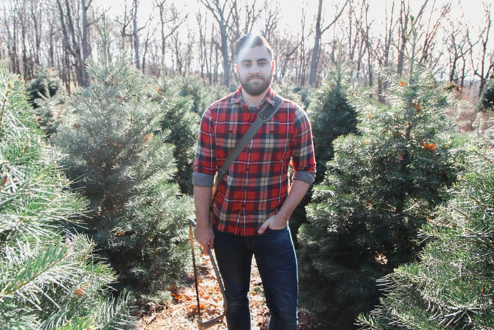 The Christmas tree hunt — Selective Potential