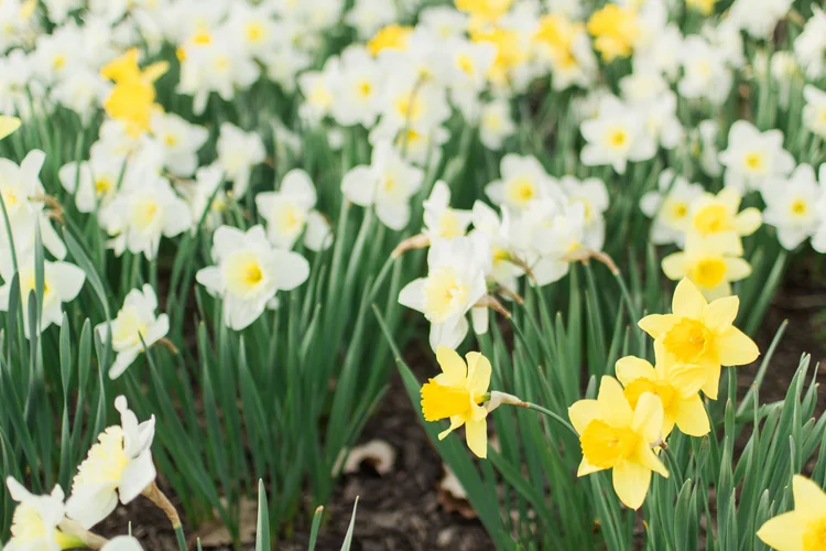 Spring has sprung — Selective Potential