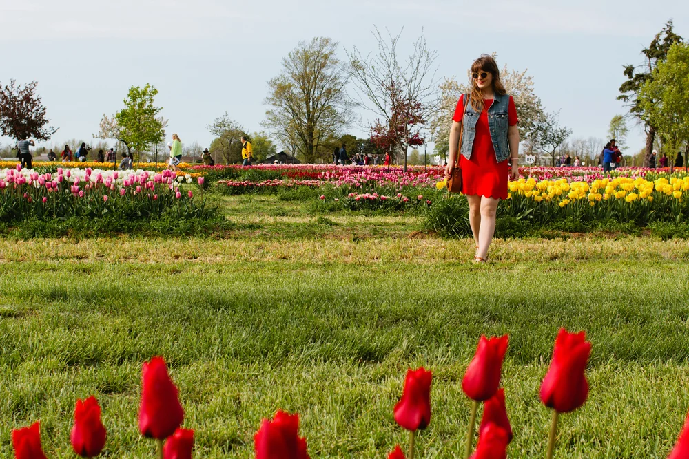 Veldheers Tulip Farm — Selective Potential