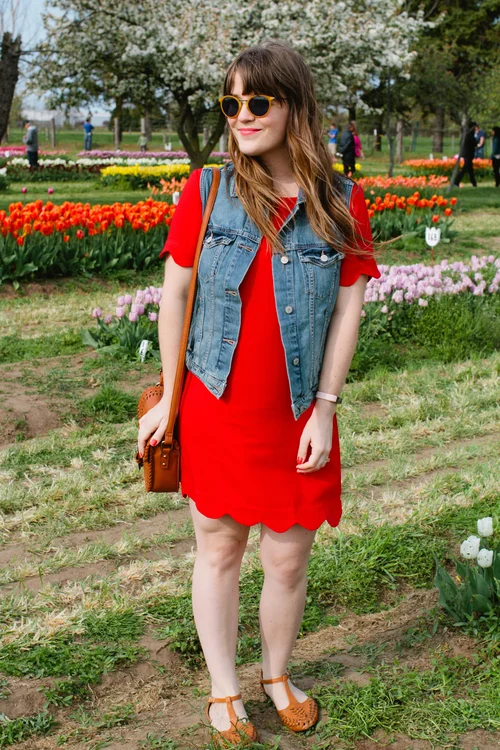 Veldheers Tulip Farm — Selective Potential