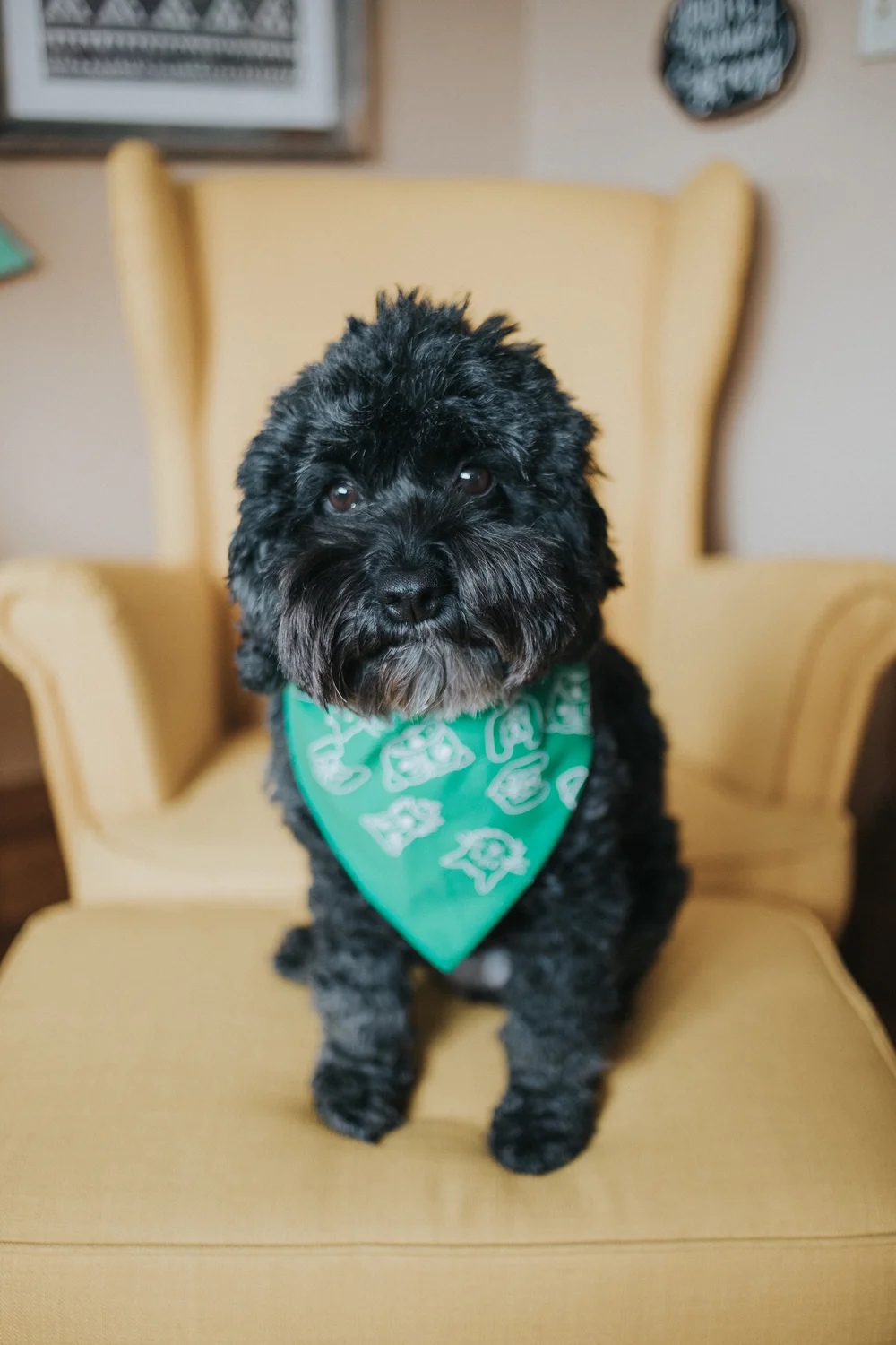 All-Natural Food for Winny — Selective Potential