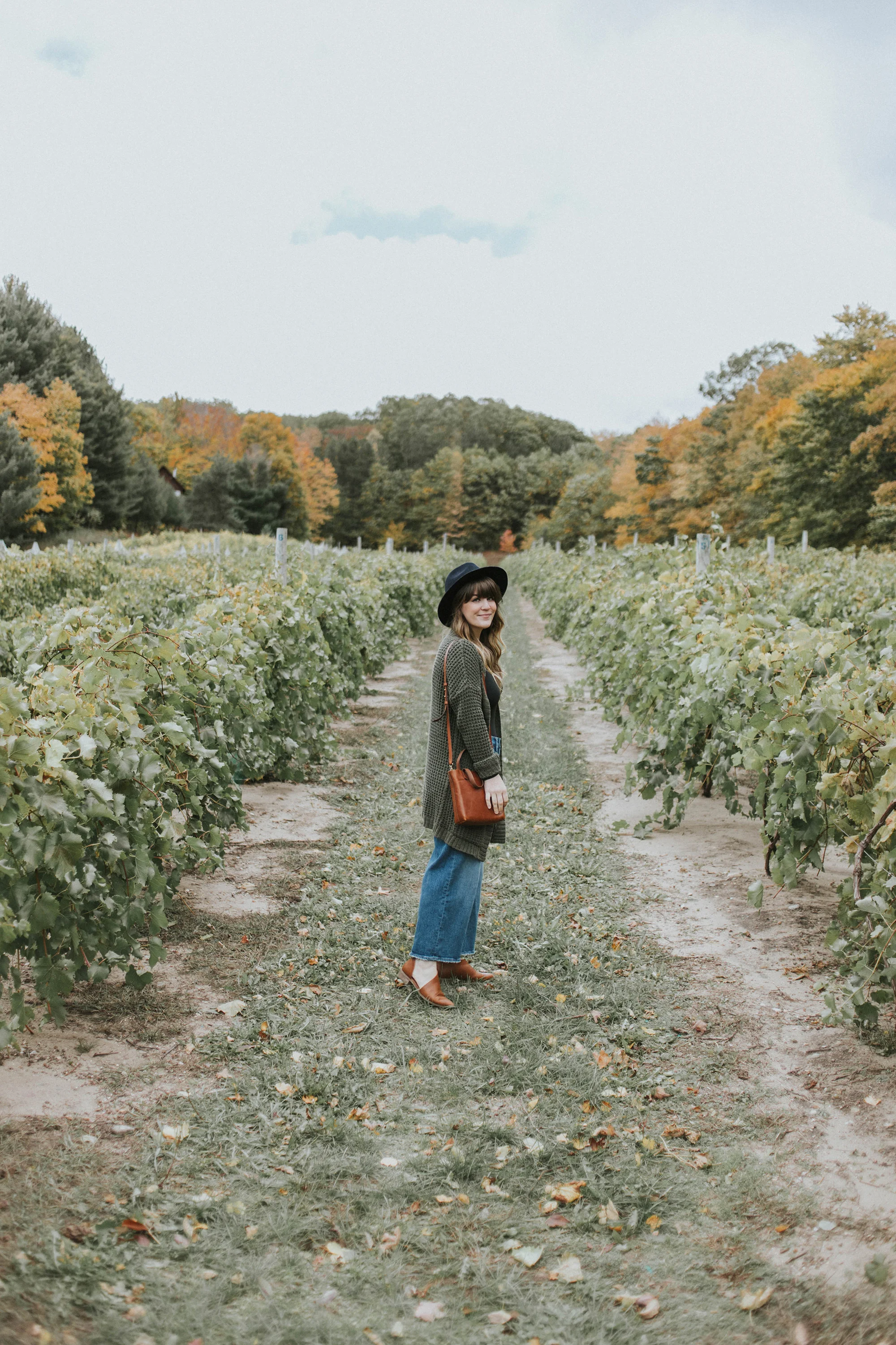 Pond Hill Farm — Selective Potential