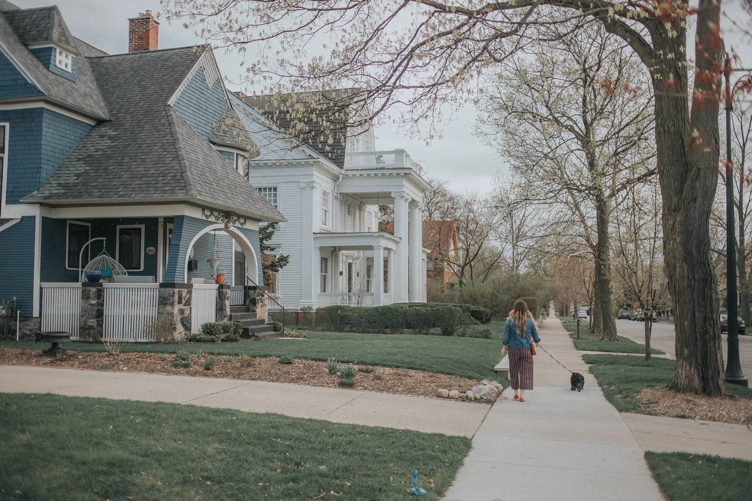 Why I call Michigan home — Selective Potential