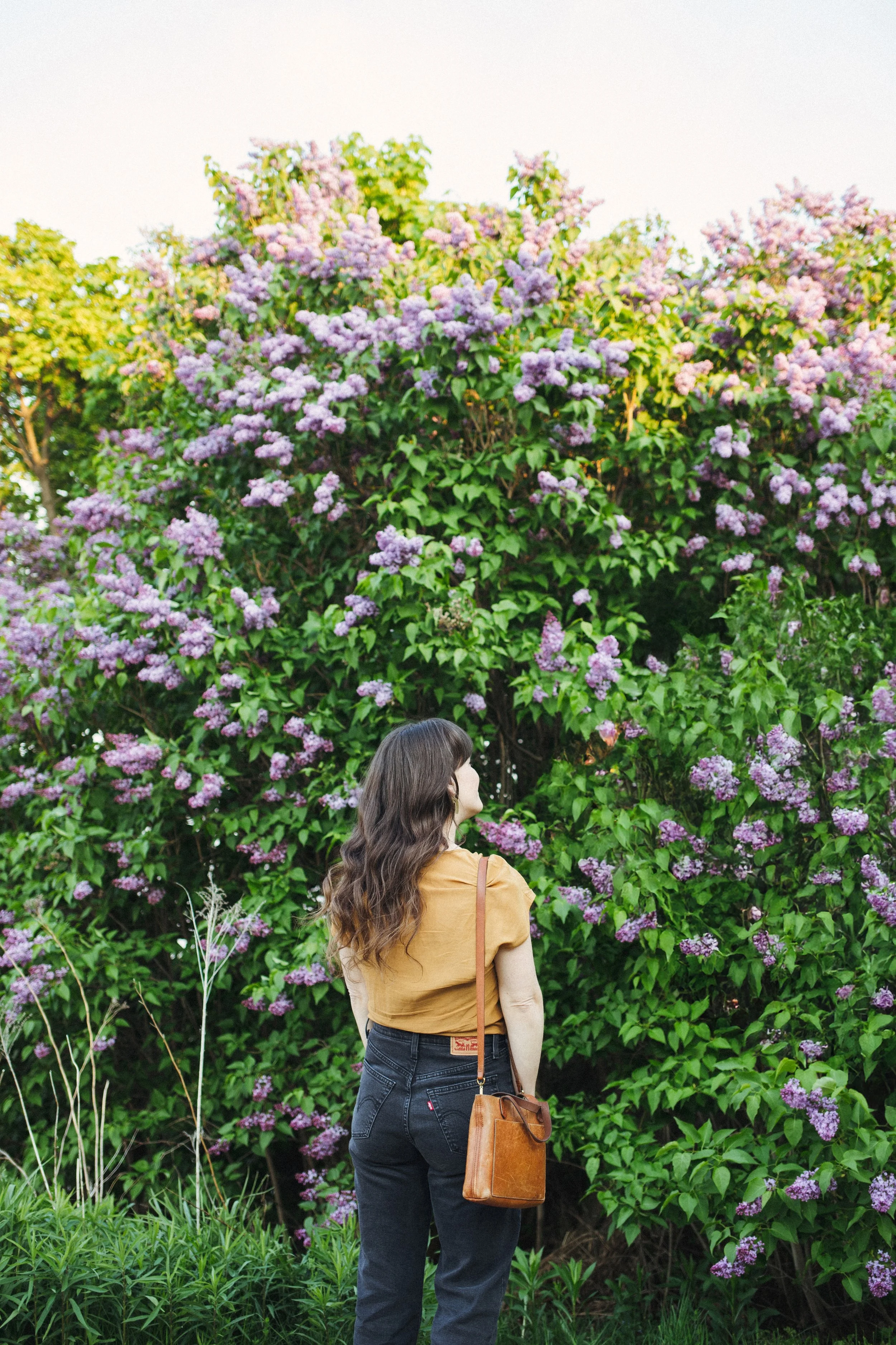 Lilacs in June — Selective Potential