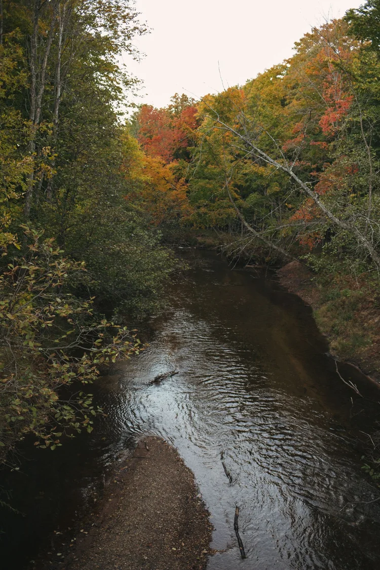Yellow Dog River Bridge — Selective Potential