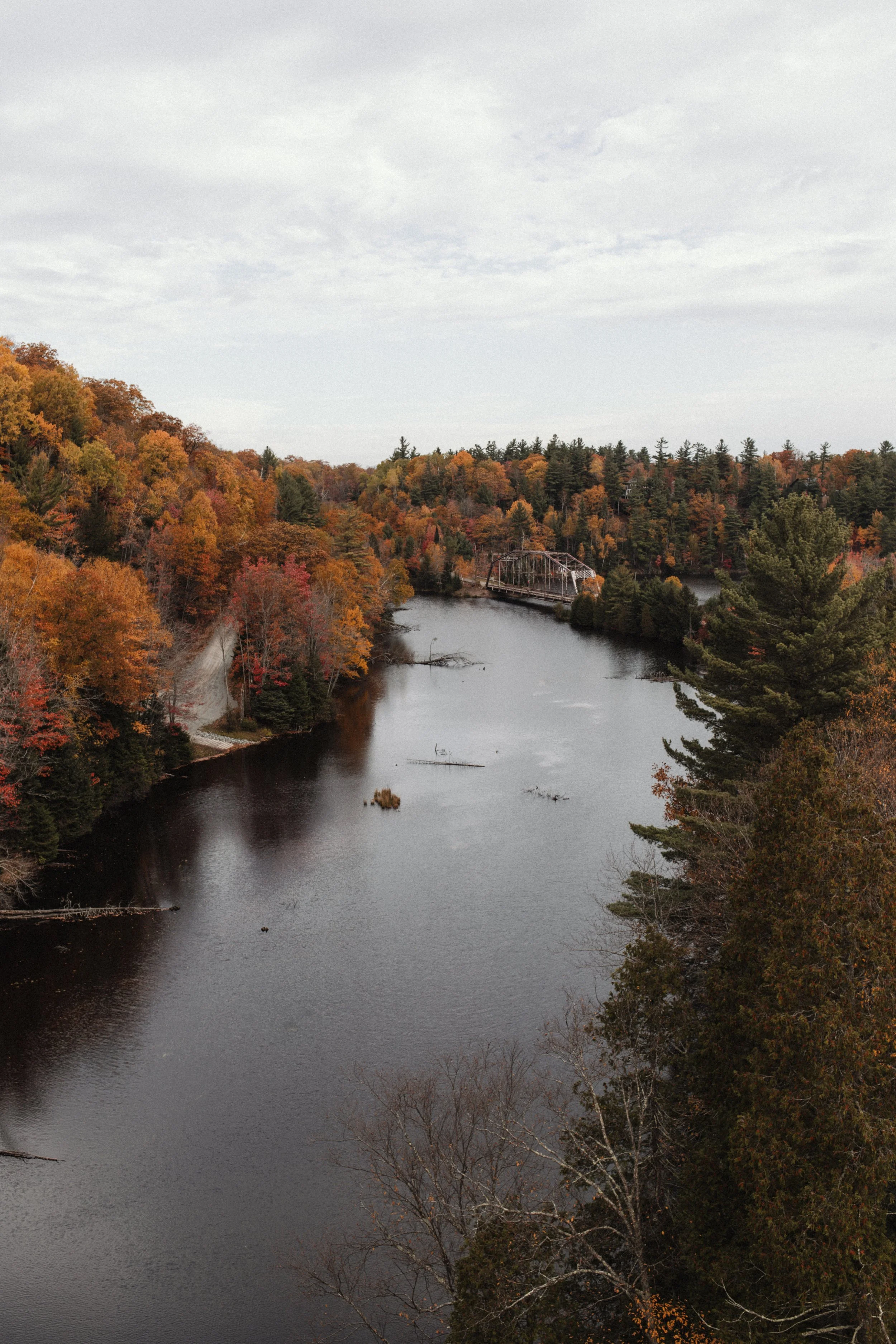 CR-510 Bridge View — Selective Potential