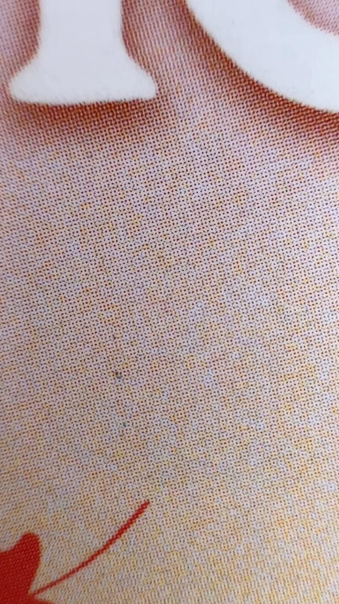 Blog — Robin Constantine