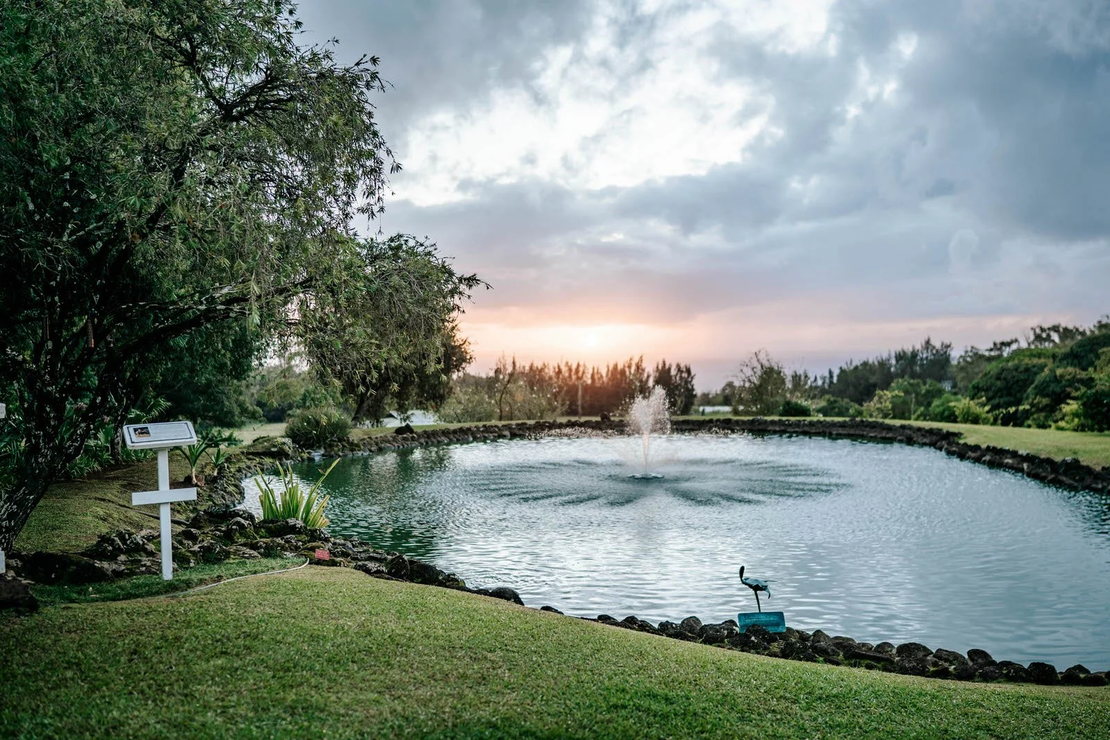 Make Your Event Social Media Gold: Tips for Share-Worthy Gatherings ...