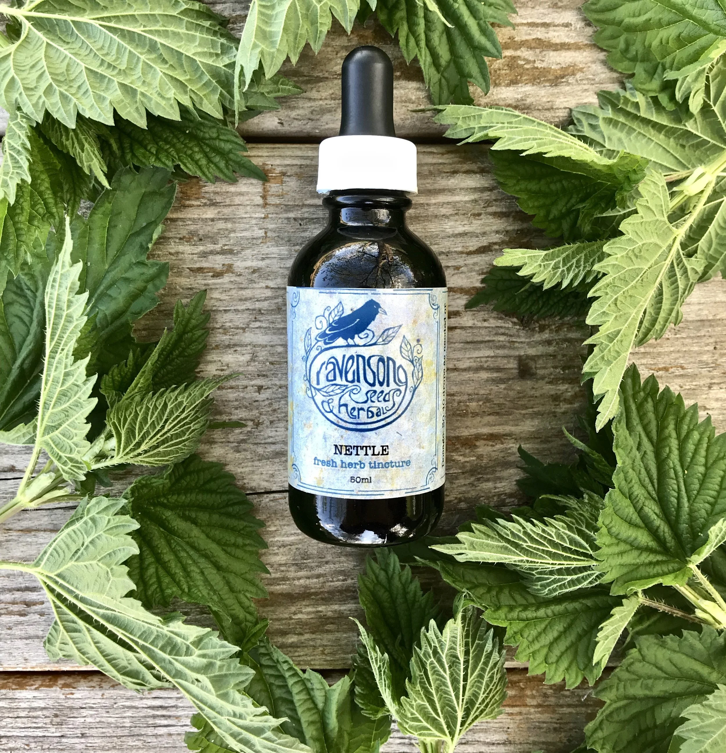 Ringing (...or Stinging) in the Spring with Nettle — Ravensong Seeds ...