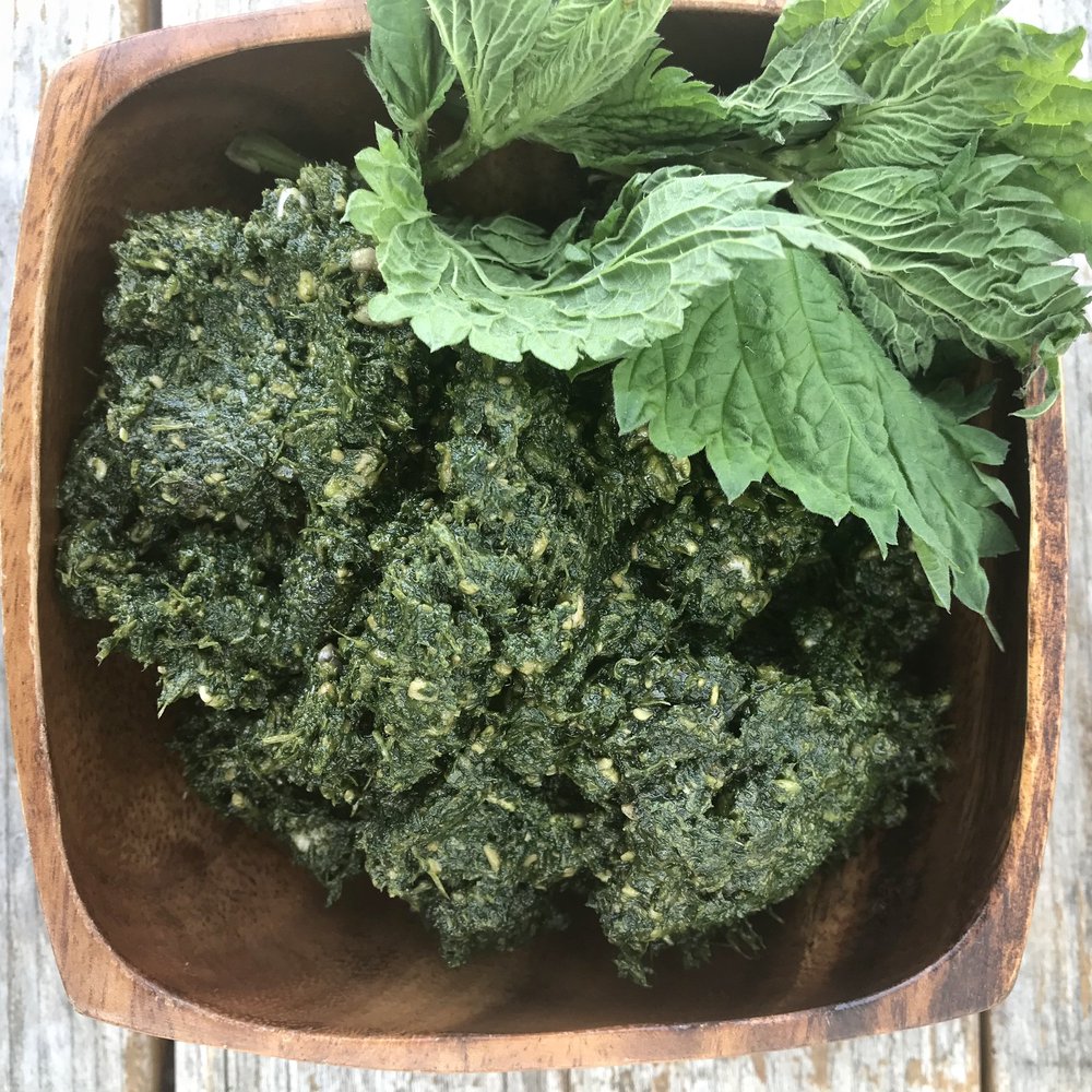 Ringing (...or Stinging) in the Spring with Nettle — Ravensong Seeds ...