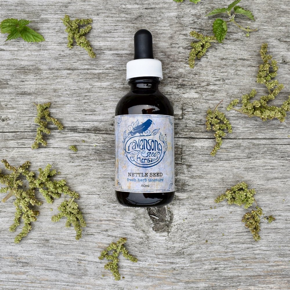 Nettle Seed Season | Restoring the Warrior — Ravensong Seeds & Herbals