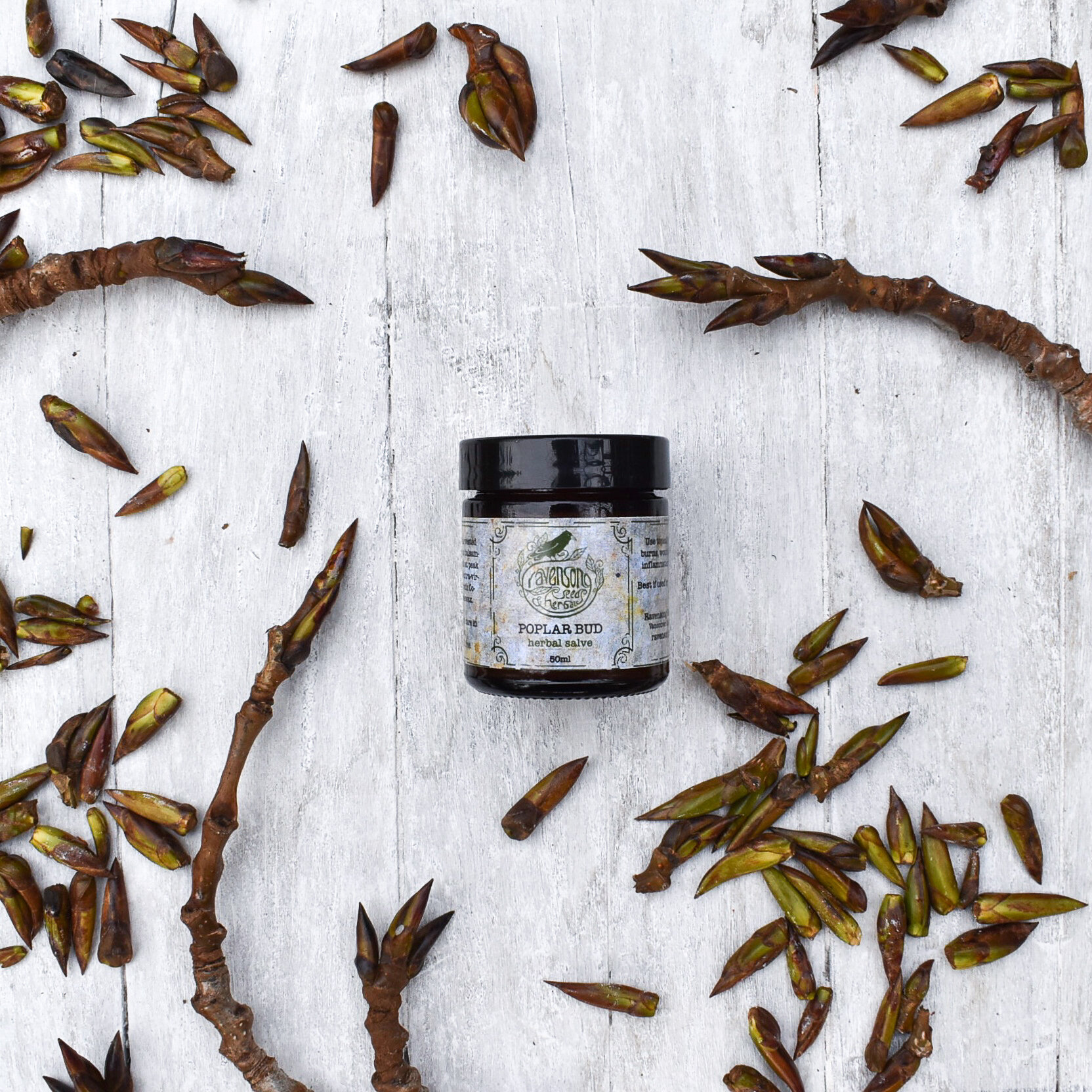 Poplar Medicine | From Winter to Spring — Ravensong Seeds & Herbals