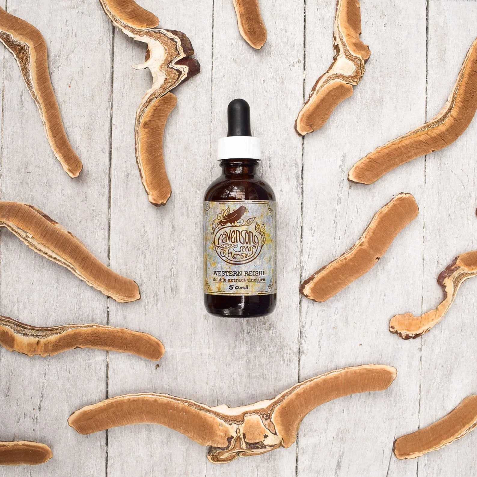 Mushroom & Lichen Extracts — Ravensong Seeds & Herbals