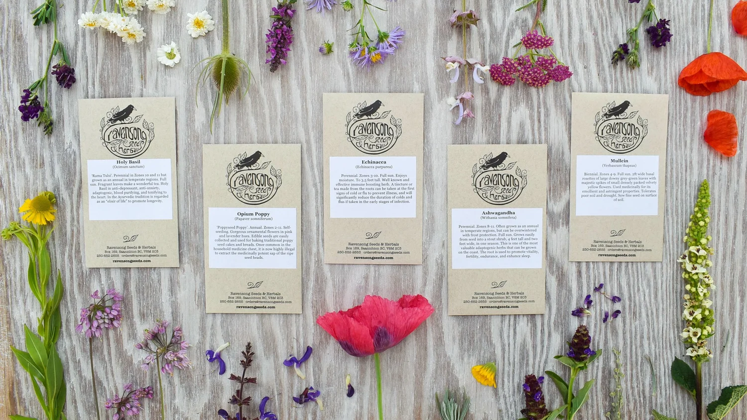Medicinal Herb & Specialty Seeds Grown in BC | Ravensong Seeds ...