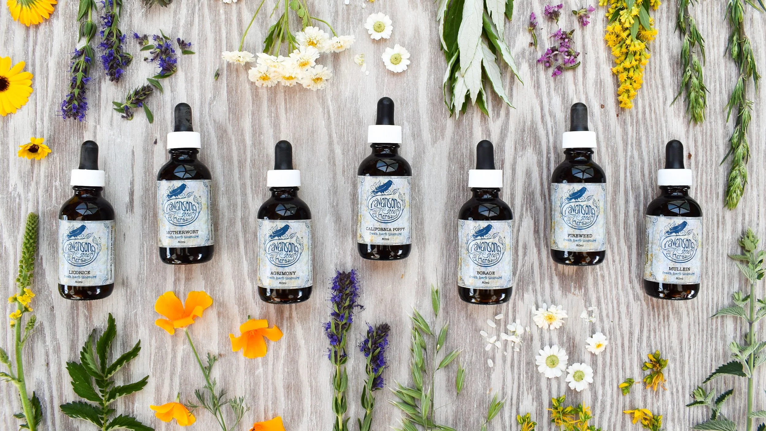 Fresh Plant Single Herb Tinctures | Farm-Grown by Ravensong — Ravensong ...