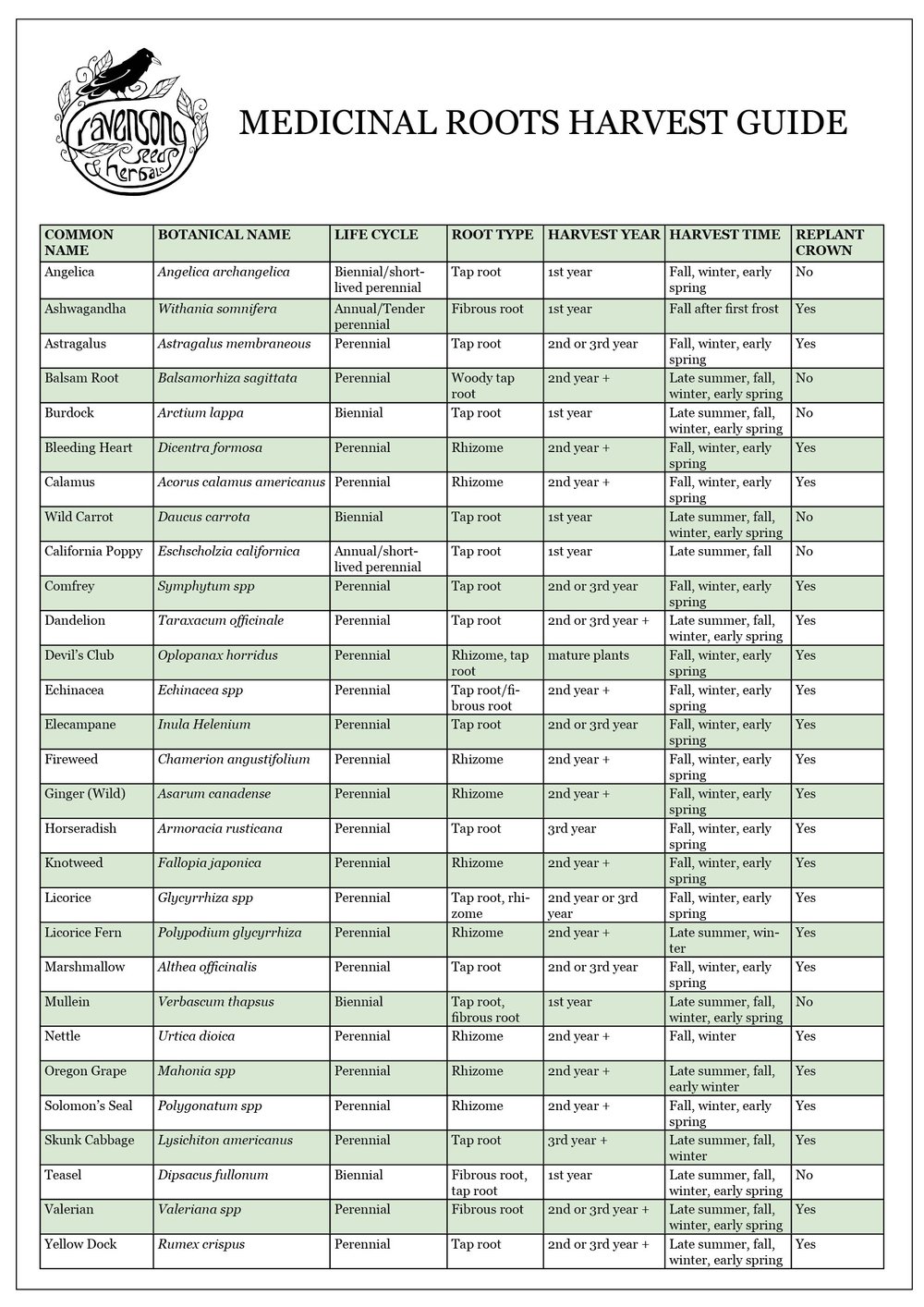 Underground Apothecary | A guide to harvesting root medicines ...
