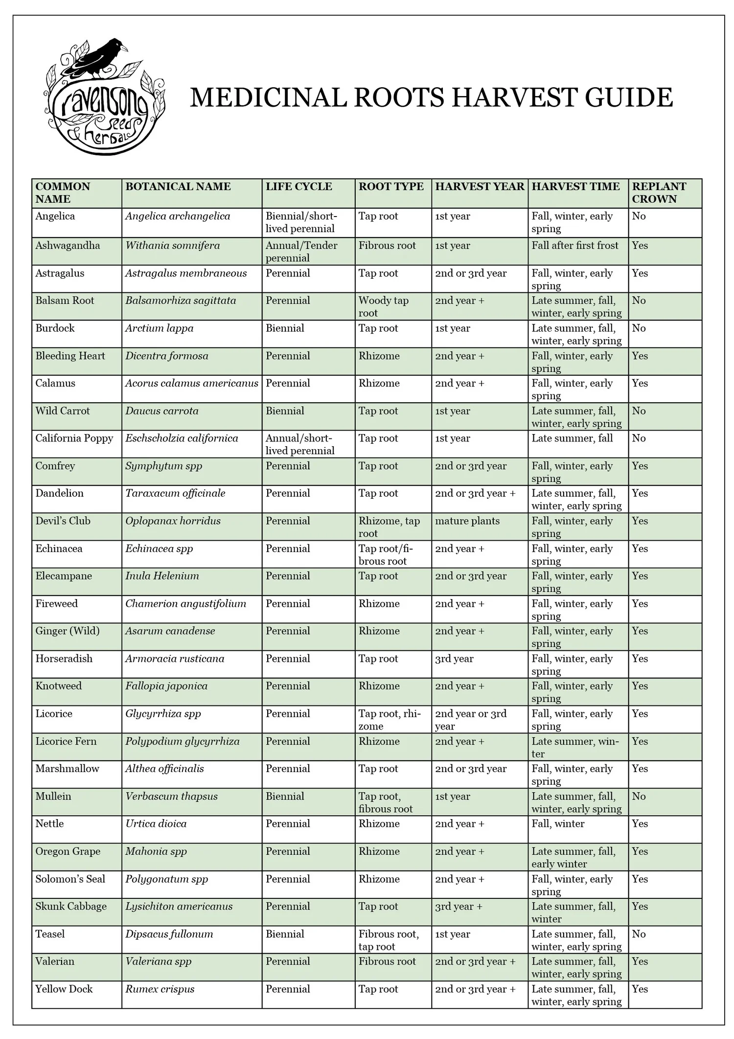 Underground Apothecary | A guide to harvesting root medicines ...