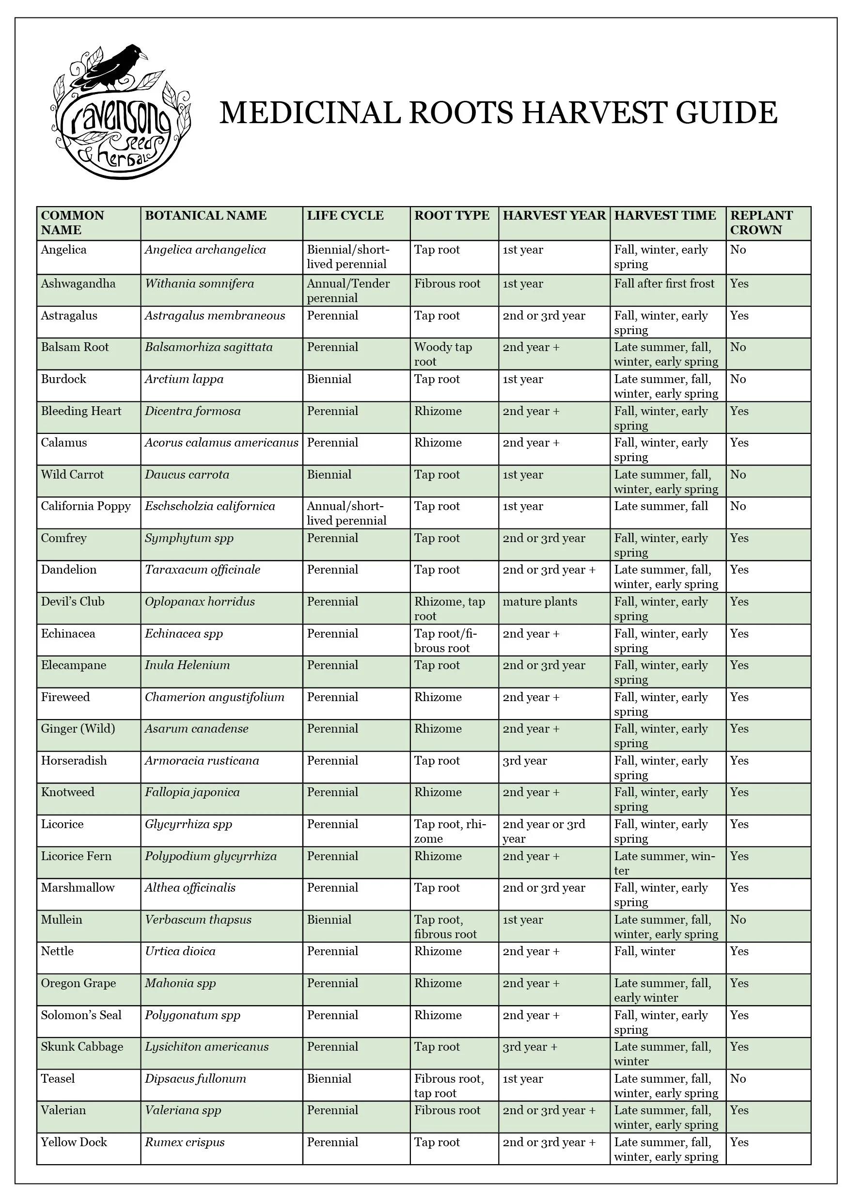 Underground Apothecary | A guide to harvesting root medicines ...