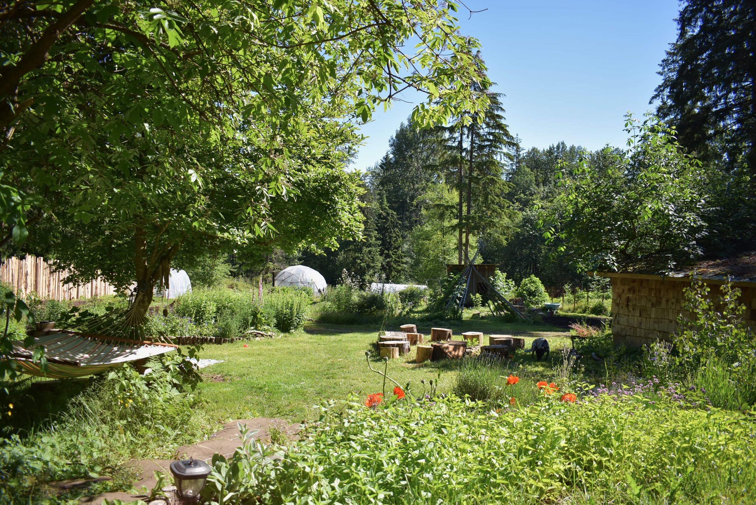 Timing your Seeds in Spring — Ravensong Seeds & Herbals