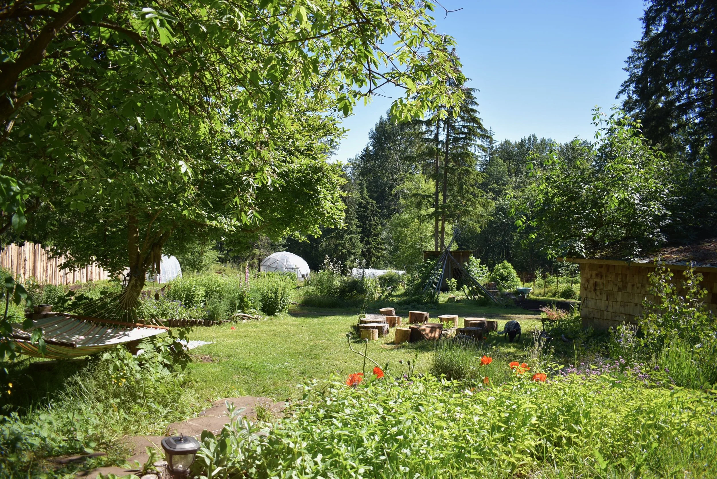 Timing your Seeds in Spring — Ravensong Seeds & Herbals