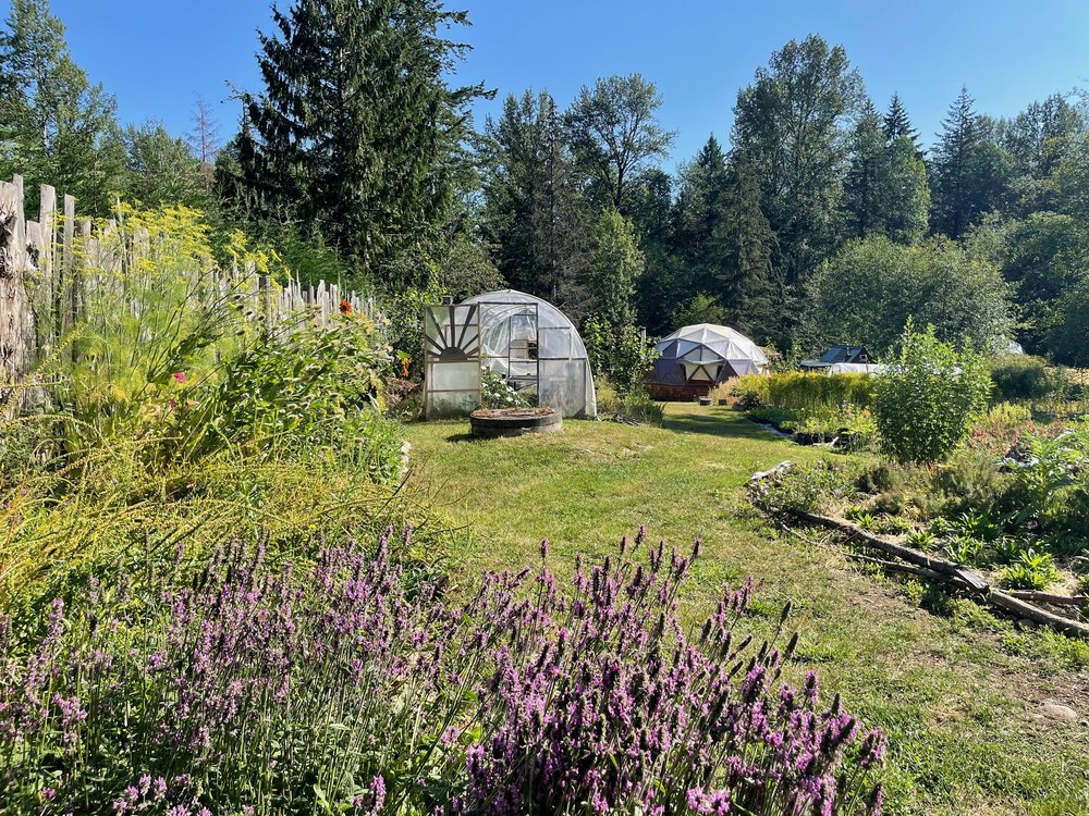 Medicinal Herb Garden | planning guide for the home gardener ...