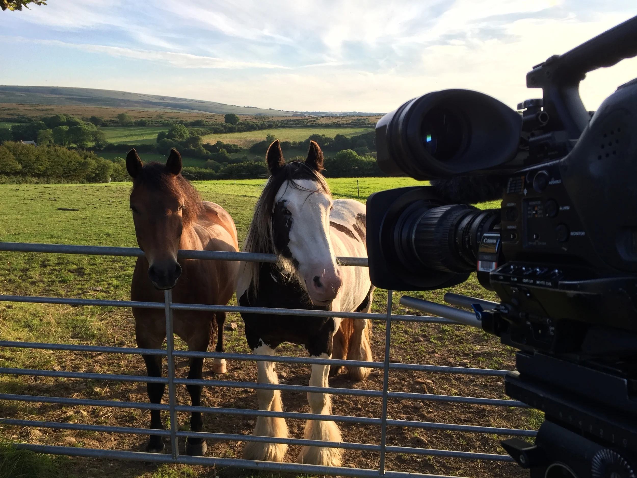 Behind the scenes... — Nick Wilkinson