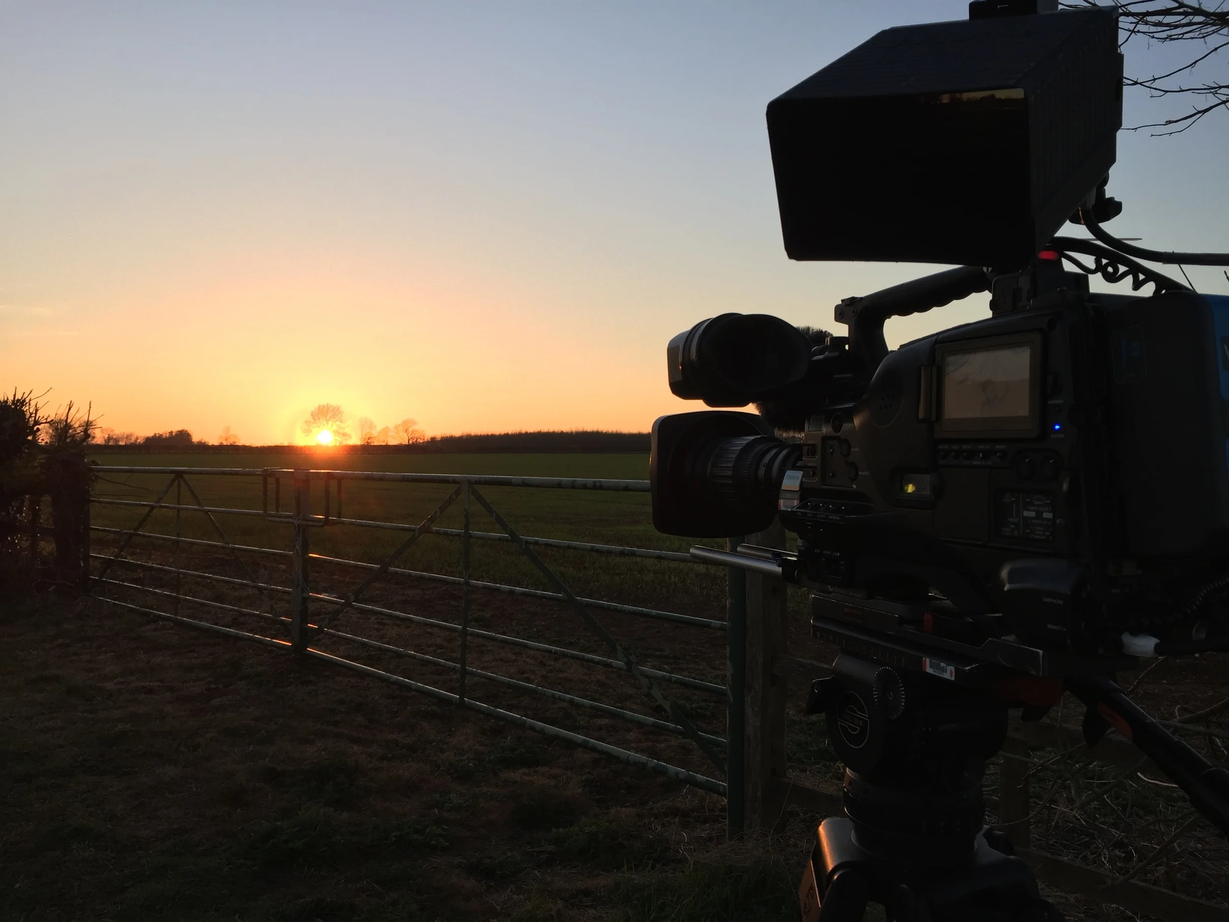 Behind the scenes... — Nick Wilkinson