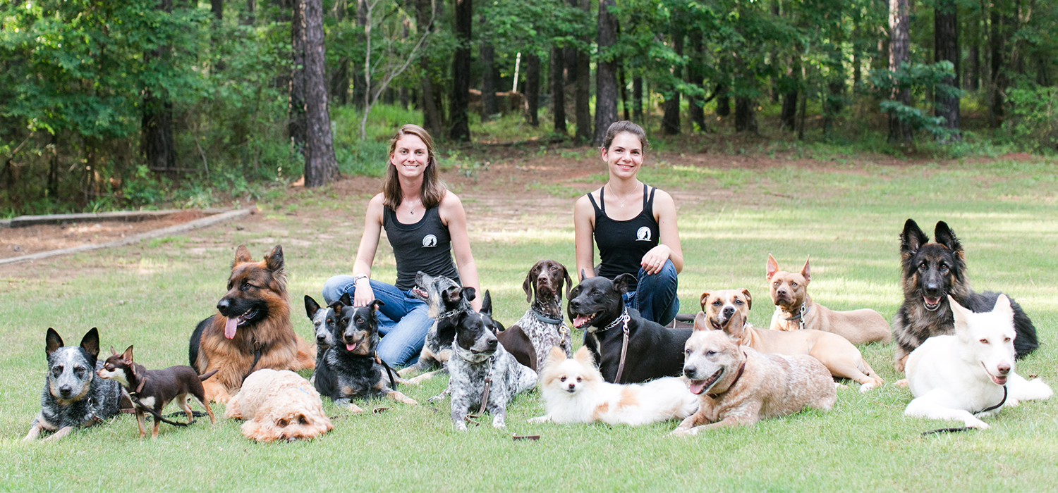 Trainers — Middle Georgia Dog Training - Obedience Training - Puppy Training - Aggression Rehab