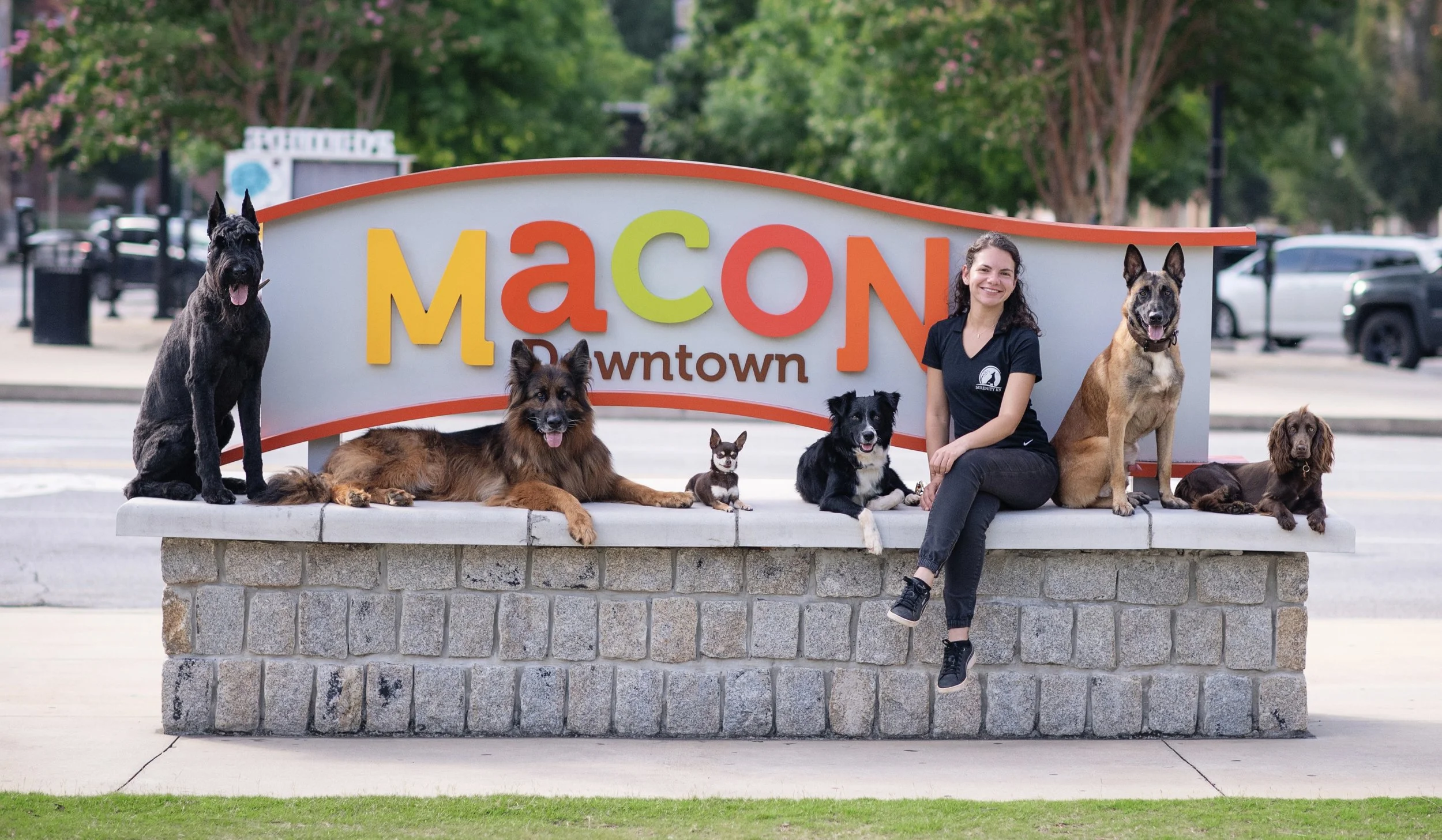 Services — Serenity K9