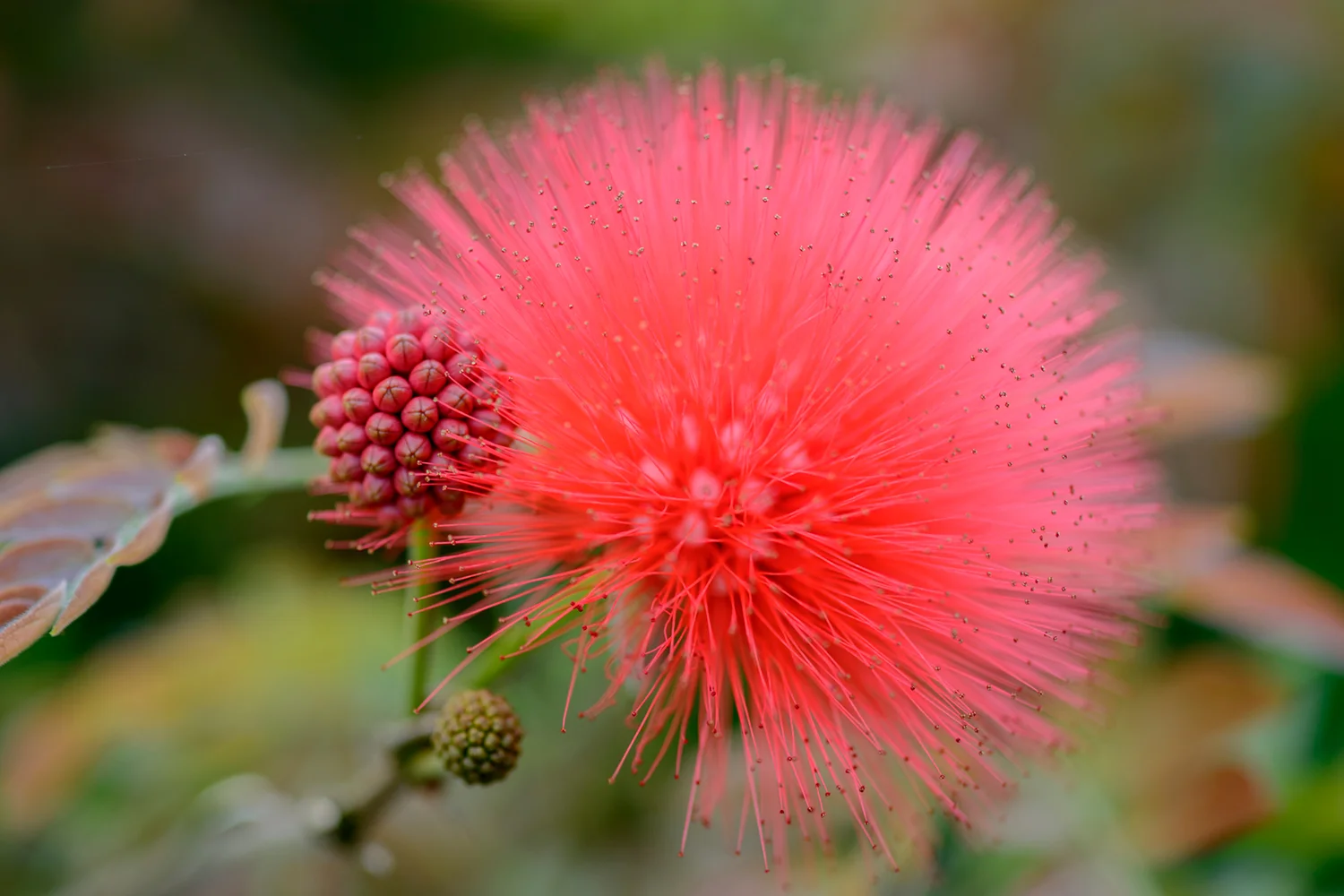 Facials — Chris Venter Skincare