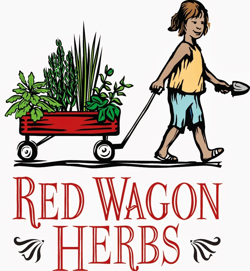 Herbs — Red Wagon Plants