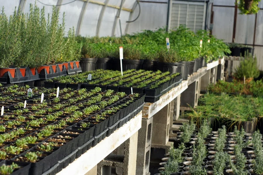 Our Growing Methods — Red Wagon Plants