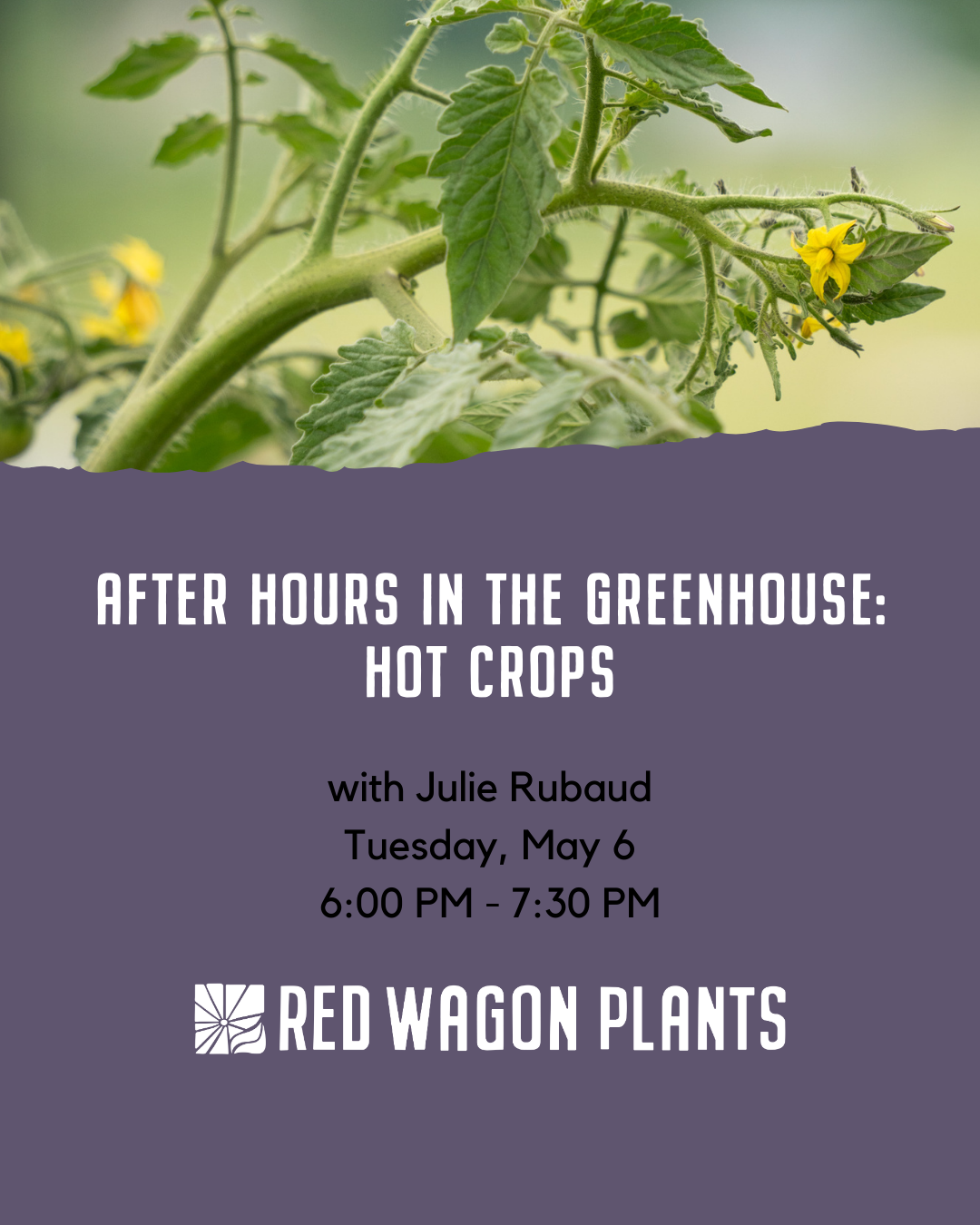 After Hours in the Greenhouse: Hot Crops — Red Wagon Plants