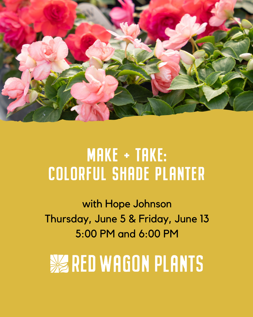 Make + Take: Colorful Shade Planter — Red Wagon Plants Make + Take: Colorful Shade Planter — Red Wagon Plants