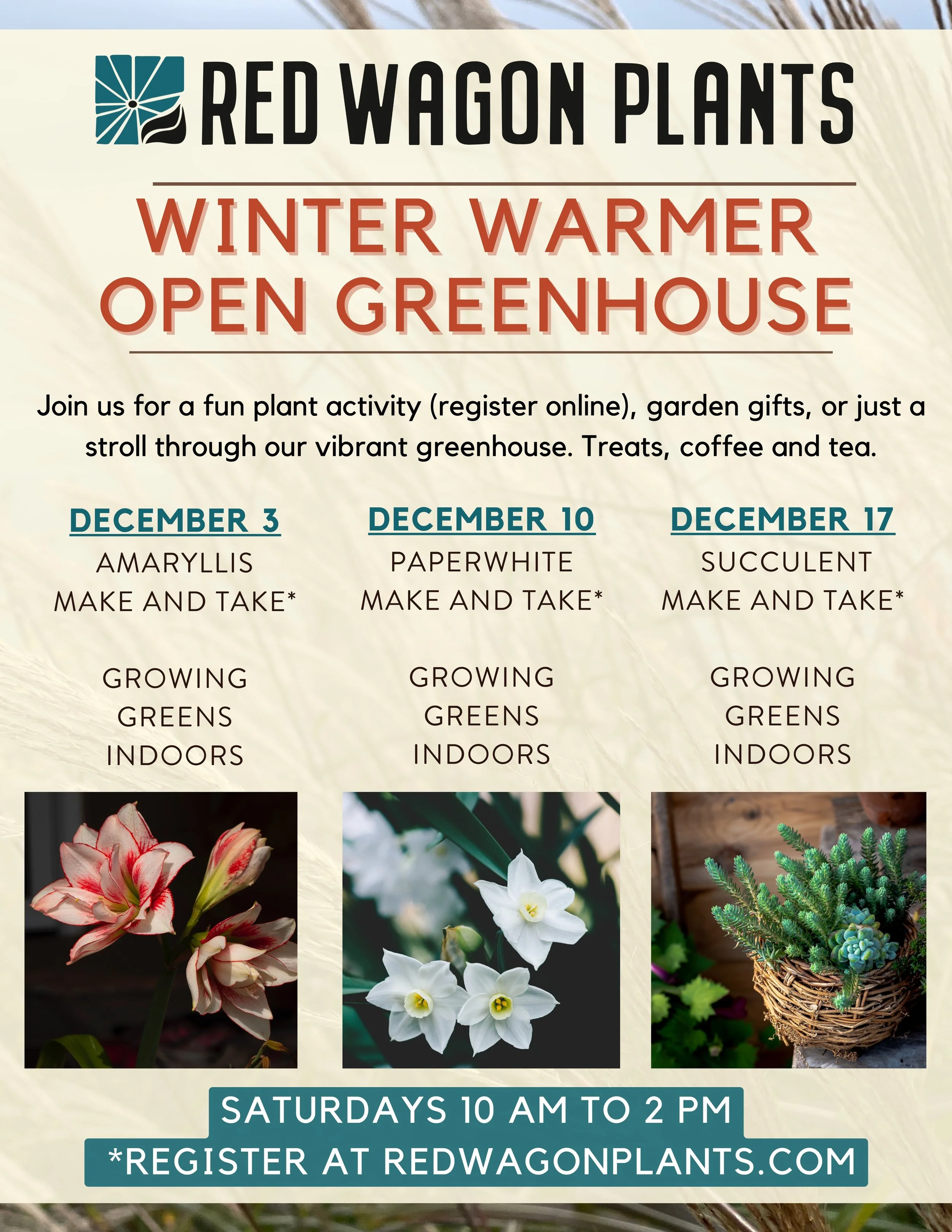 Winter Warmers in Greenhouse #3 Saturdays in December — Red Wagon Plants