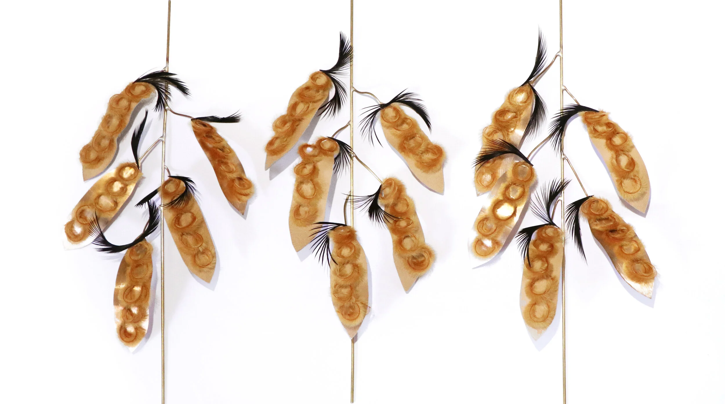 Echantillons — Maud Ruby