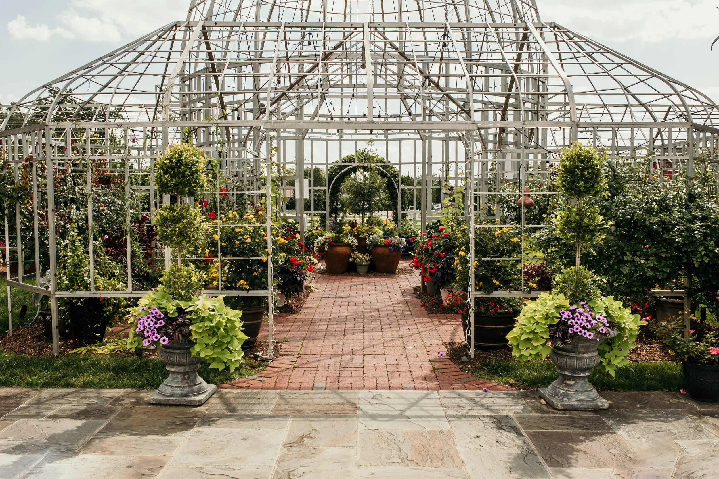 Taylor Conservatory Wedding for Beautiful Botanical Gardens