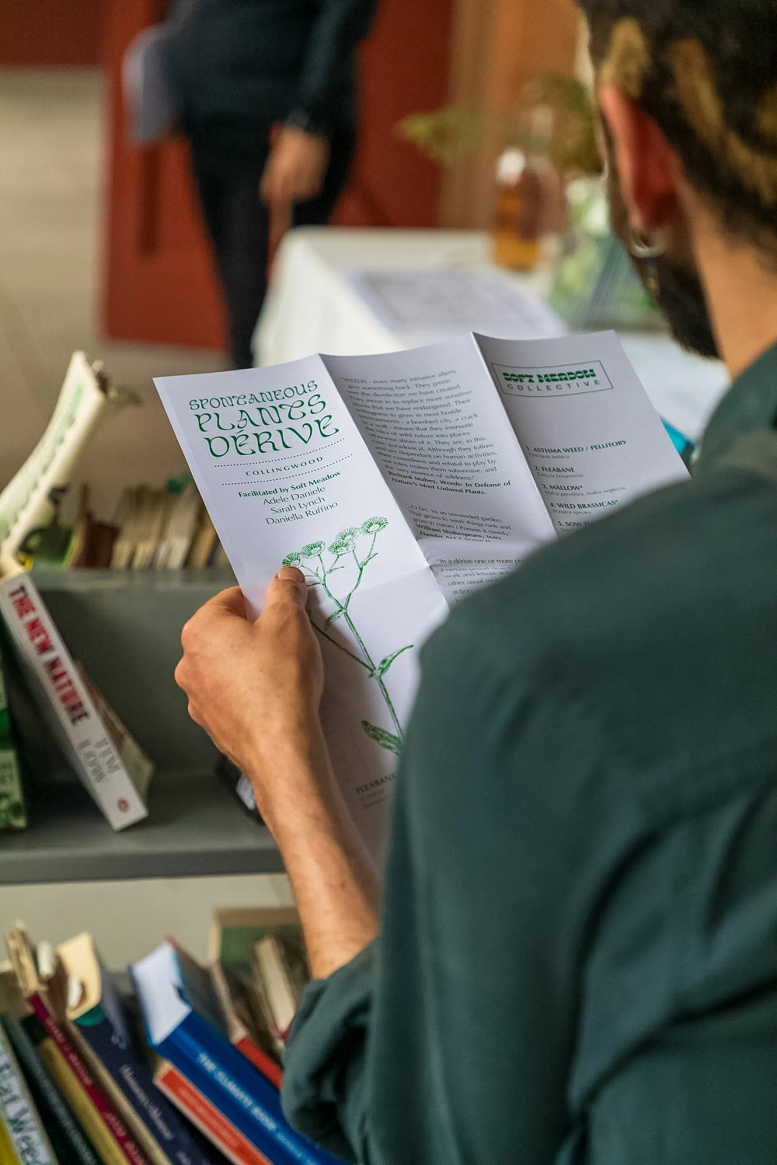 Sarah Lynch | Artist | Photographer | Photography — Soft Meadow ...