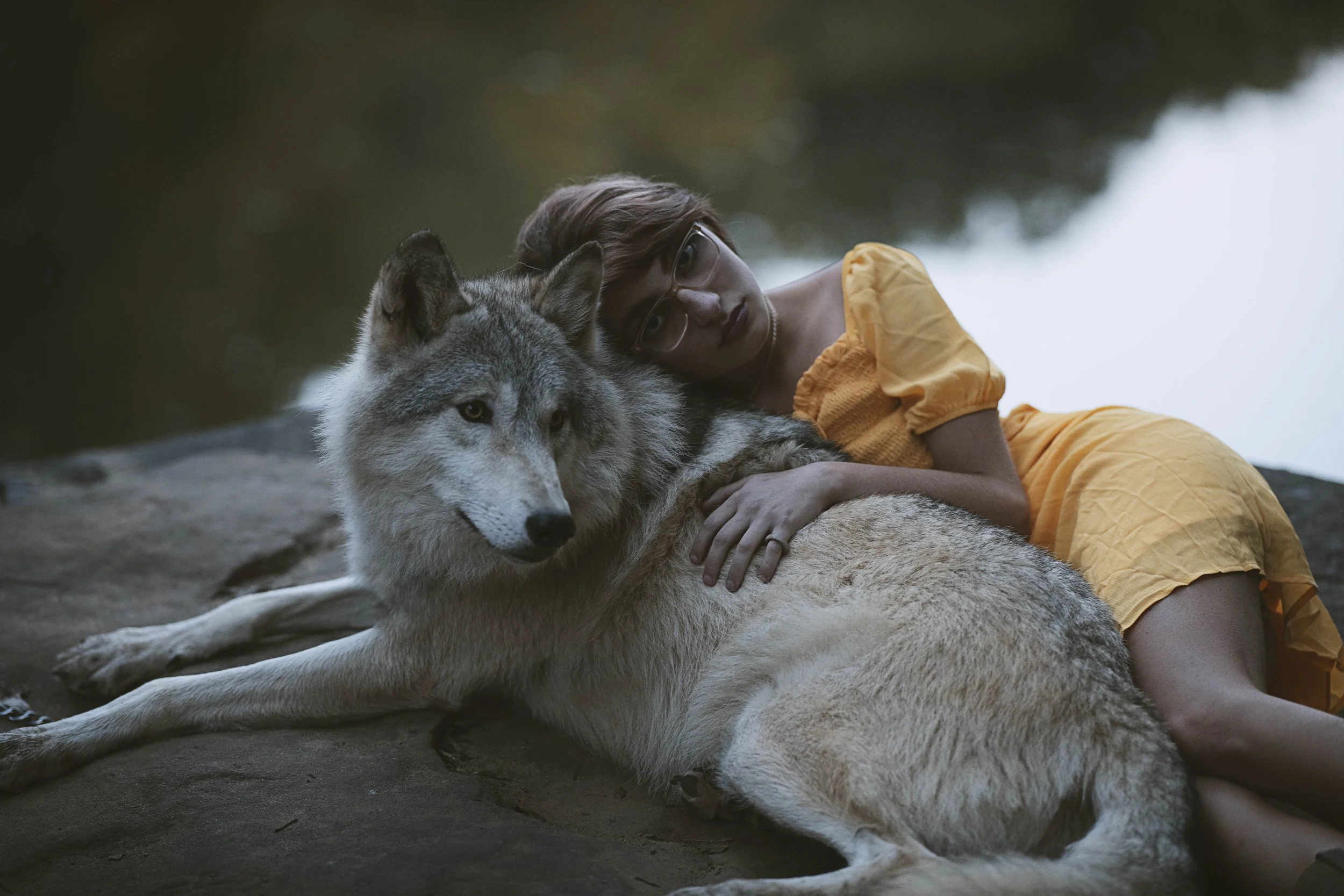 Rachel Lauren Photography