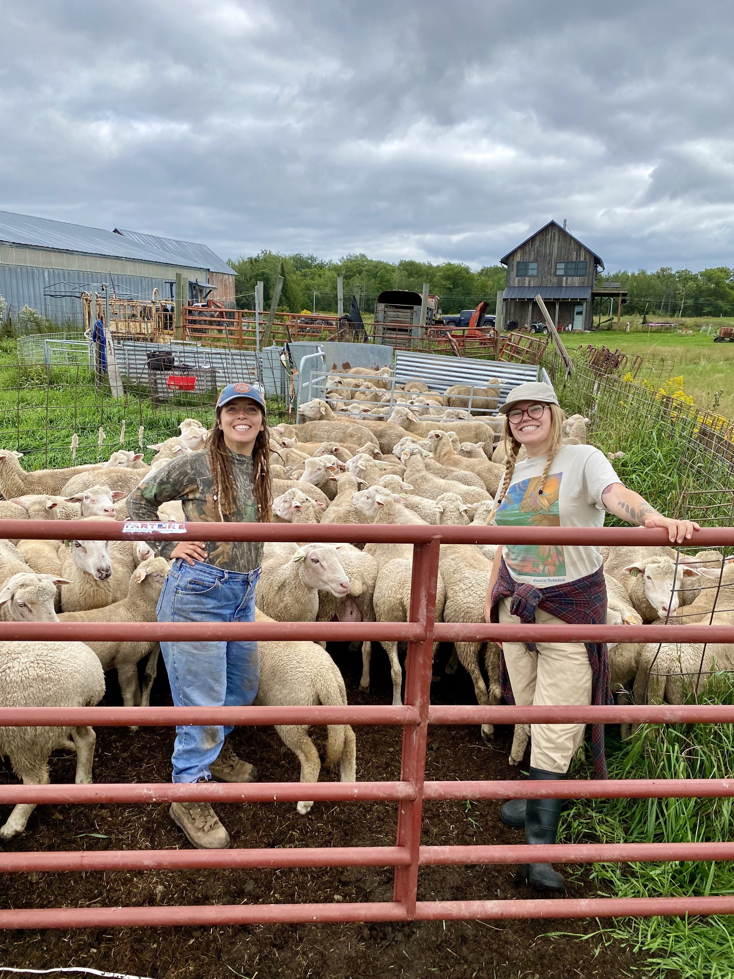 The Farmers | Grass Fed & Pastured Beef, Pork, & Lamb | Regenerative ...