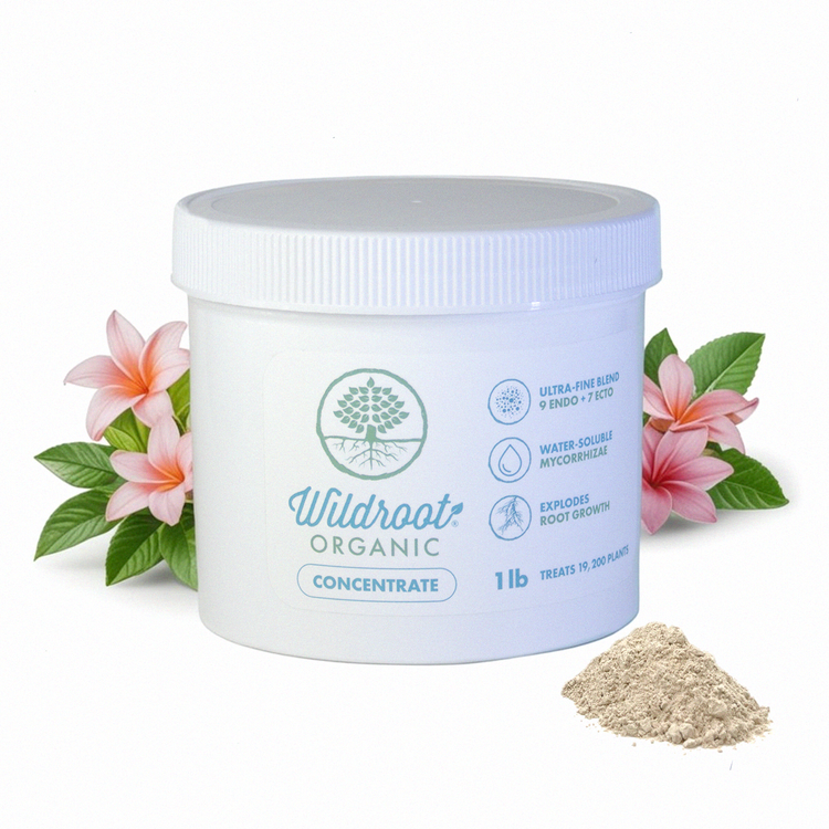 Wildroot Organics | Enhance Plant Growth Today