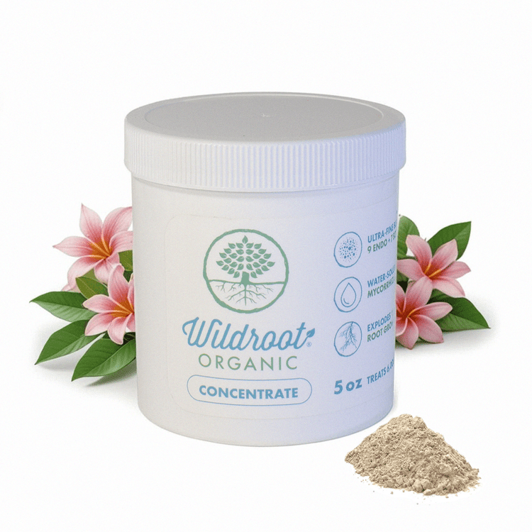 Wildroot Organics | Enhance Plant Growth Today