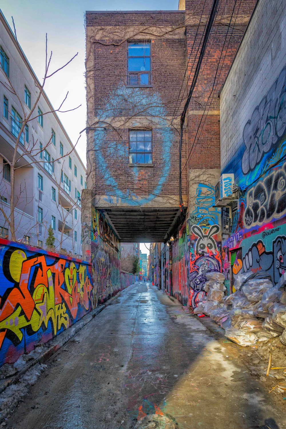 Graffiti Alley (Rush Lane), Toronto — Street Art South of Queen Street ...