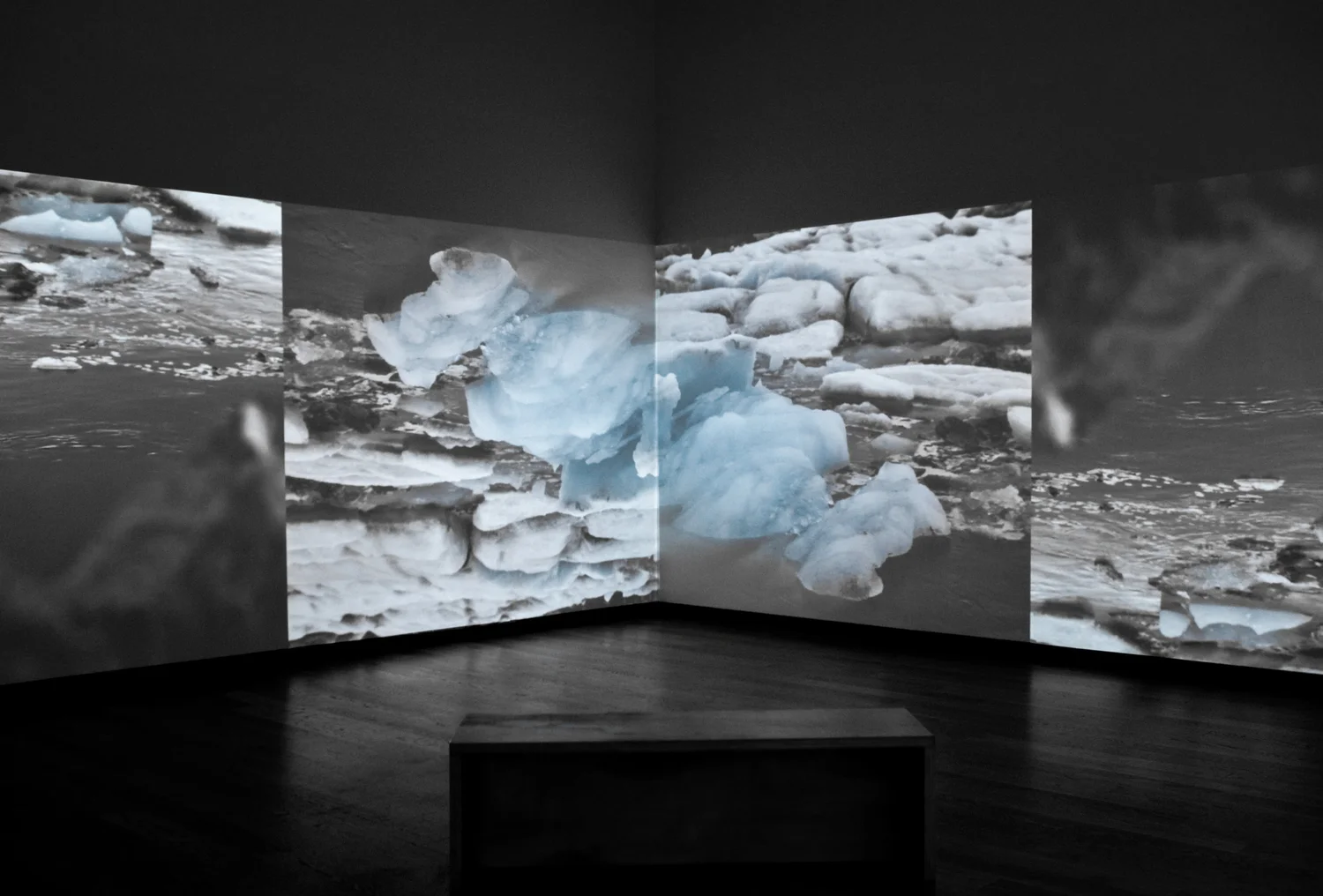 Dawn Roe — Floorr