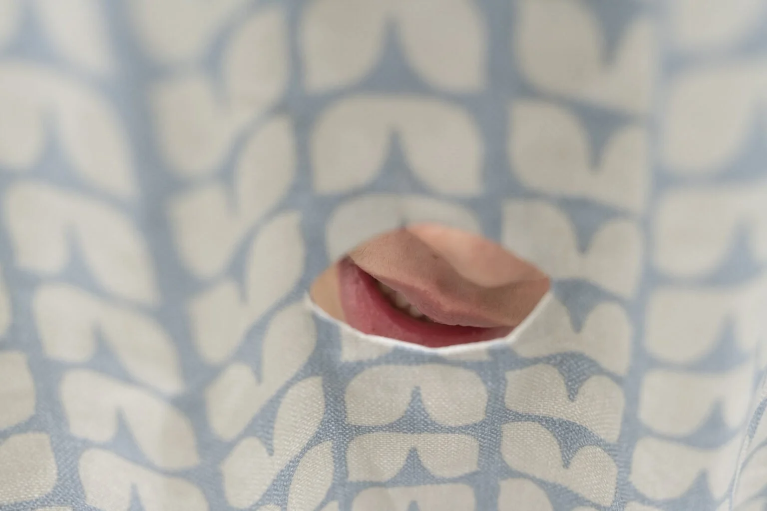 Emily Perry — Floorr