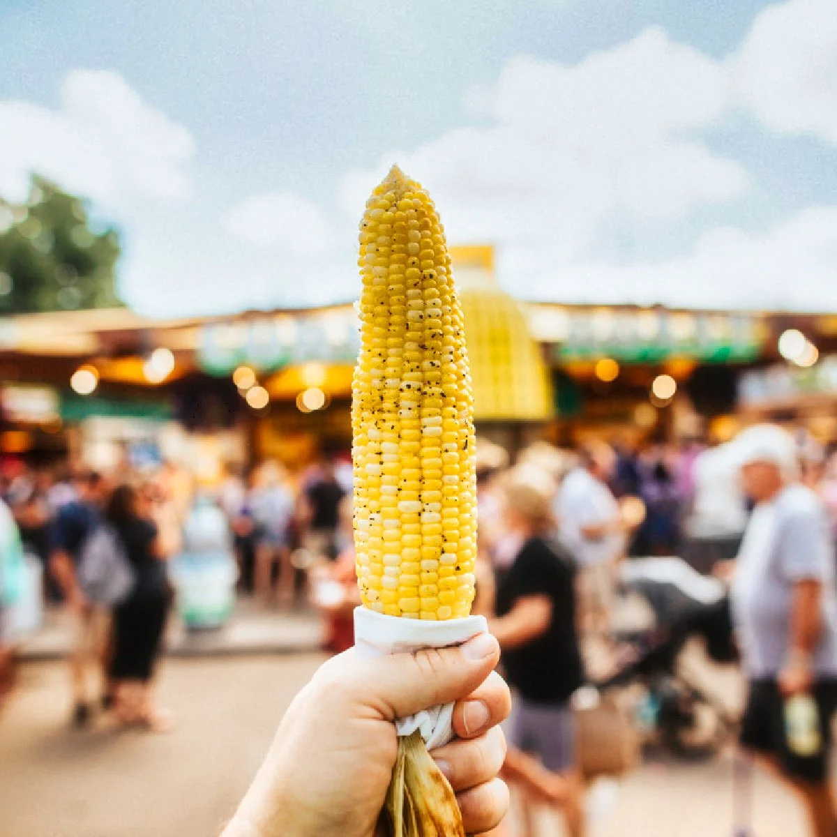 2026 Lake County Fair — LAKE COUNTY FAIR