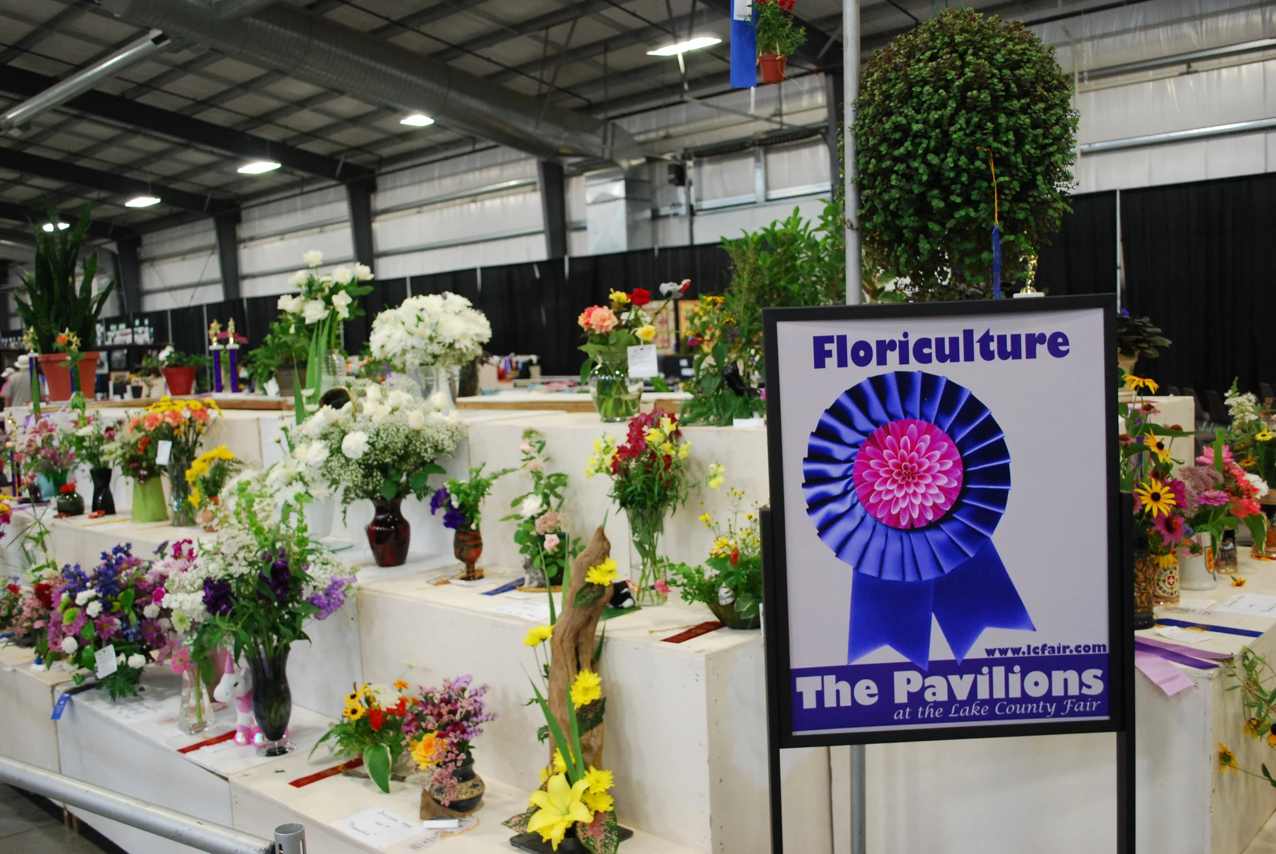 Pavilions — LAKE COUNTY FAIR