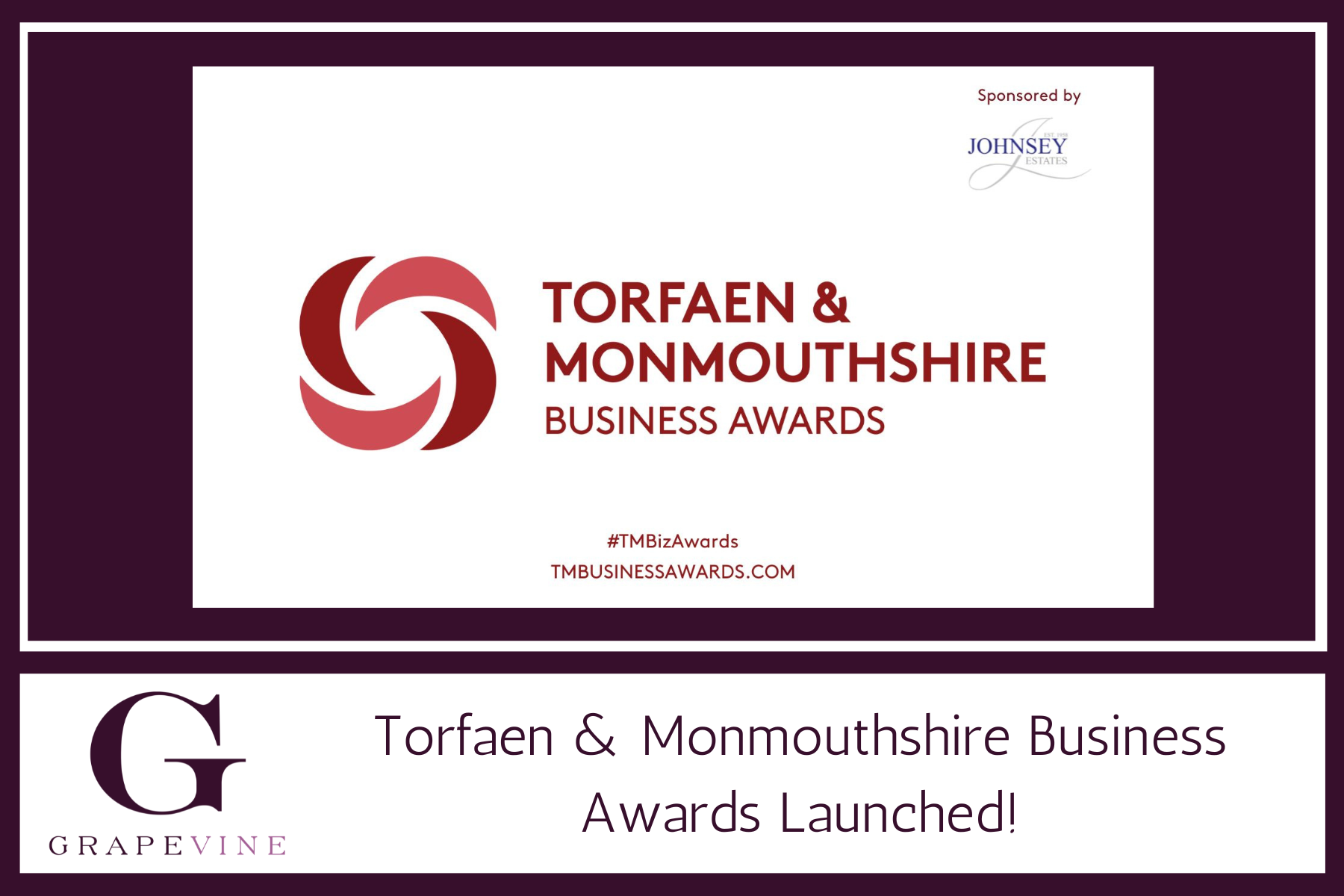 Torfaen & Monmouthshire Business Awards Launched! — Grapevine Event ...