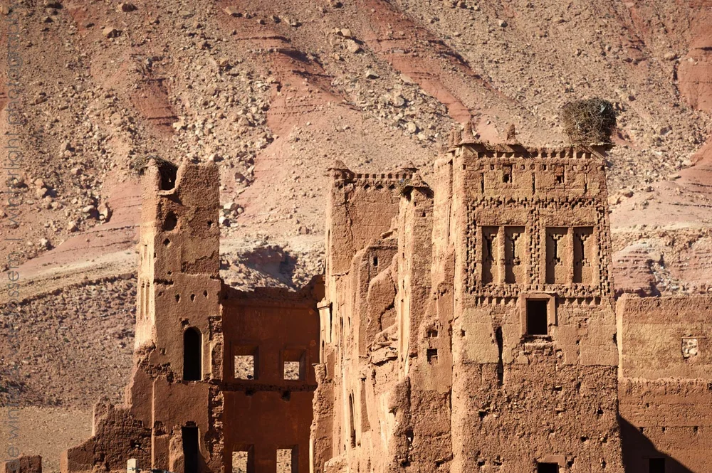 Desert Architecture Part 1 — winterlight